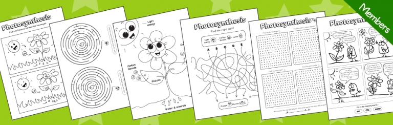 Photosynthesis Craft for Kids - 10 Minutes of Quality Time